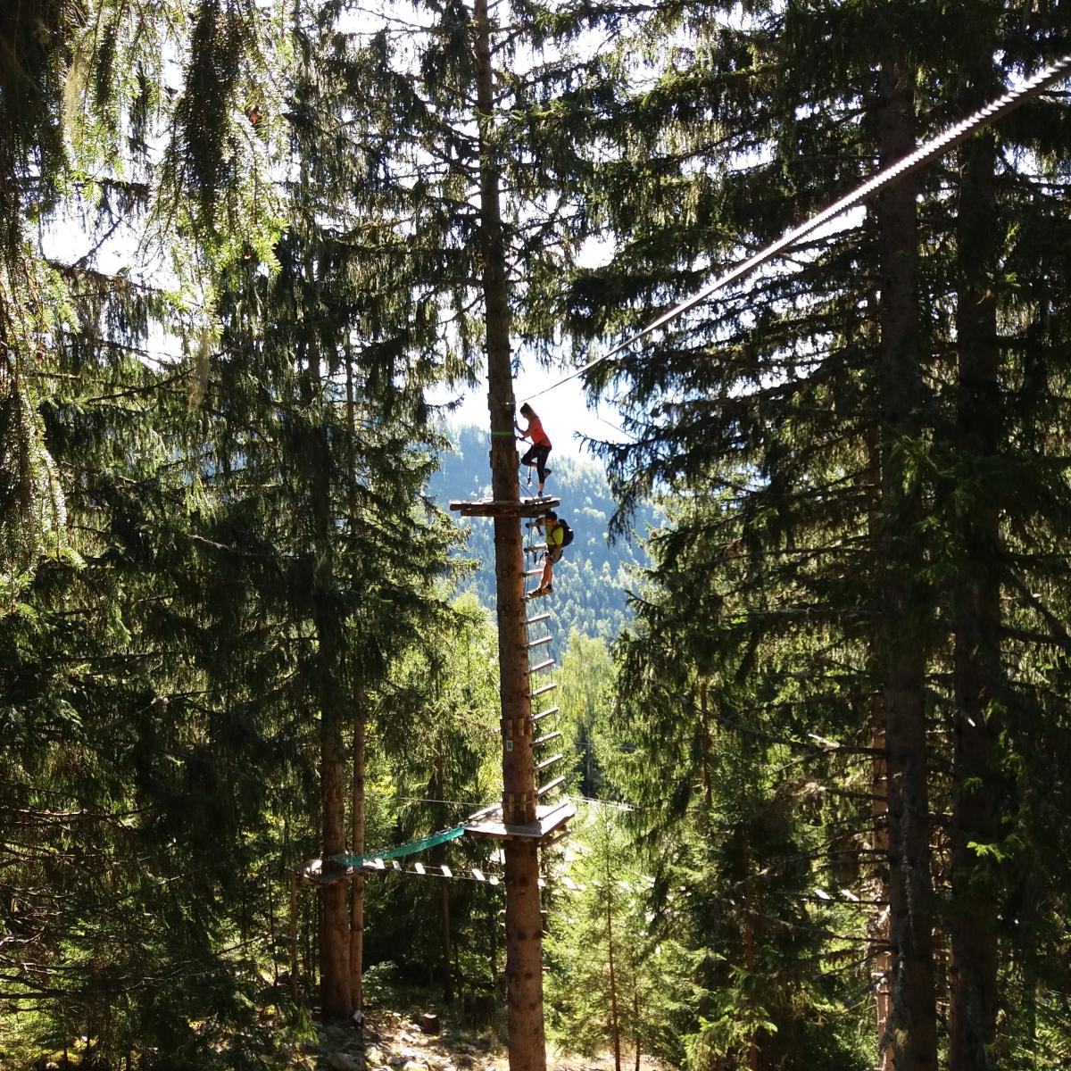 Parc de Loisirs en Forêt | Office de Tourisme d'oz-en-oisans
